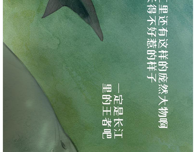 科普漫畫 長江女神 白鱀豚 1 3 胡老師系列科普漫畫 包子漫畫
